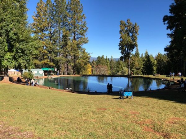 Apple Hill in the Fall - what a great outing! - Discover California